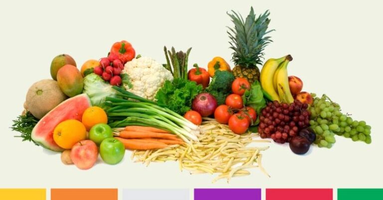 Nutrientes de una alimentación vegetal: guía completa